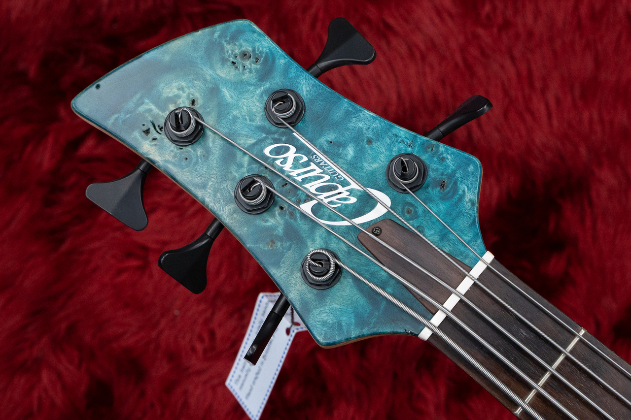 Capurso Guitars - Geek IN Box